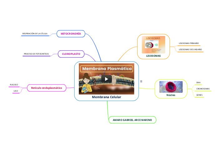 Membrana Celular - Mind Map